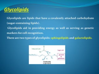 Structural lipid by KK Sahu sir | PPTX