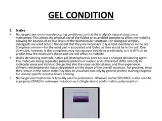 Agarose gel electrophoresis by KK Sahu sir | PPTX
