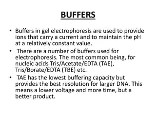 Agarose gel electrophoresis by KK Sahu sir | PPT
