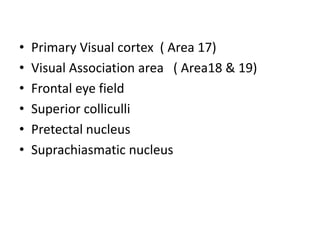 3. visual acuity | PPT