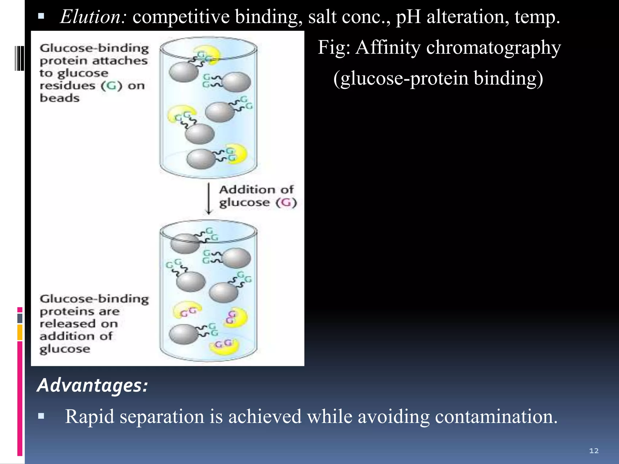 Protein separation By KK Sahu Sir | PPT