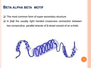 Protein motif By KK Sahu Sir | PPT