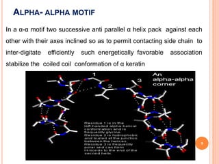 Protein motif By KK Sahu Sir | PPT