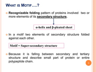 Protein motif By KK Sahu Sir | PPT