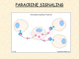 Signal transduction | PPT