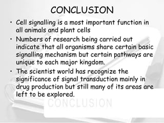 Signal transduction | PPT