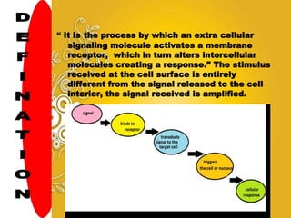 Signal transduction | PPT