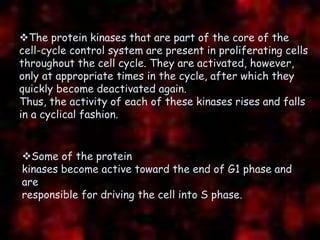 Control of cell cycle | PPTX