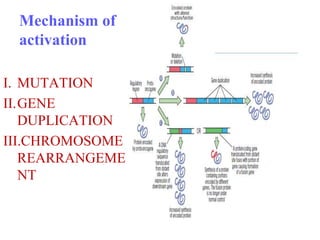 Cancer genetics | PPTX