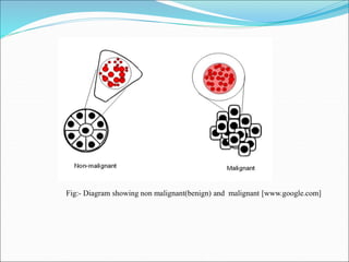 biology of cancer | PPT