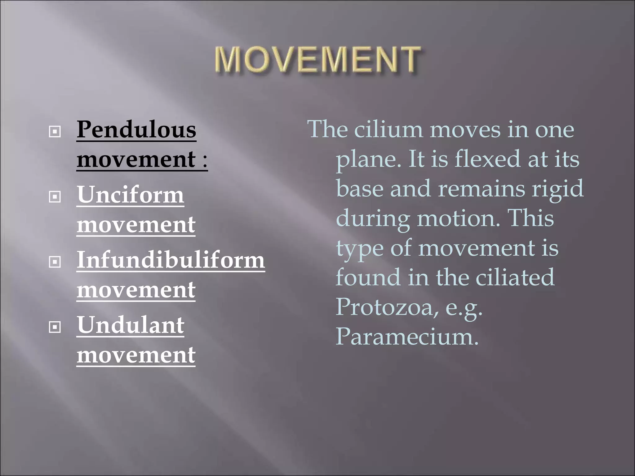 cell motility | PPT