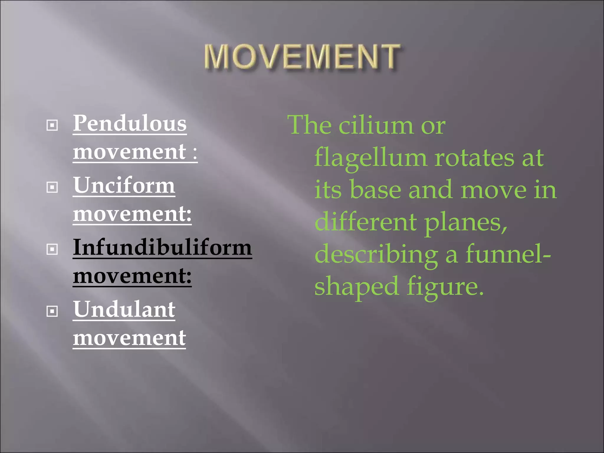 cell motility | PPT