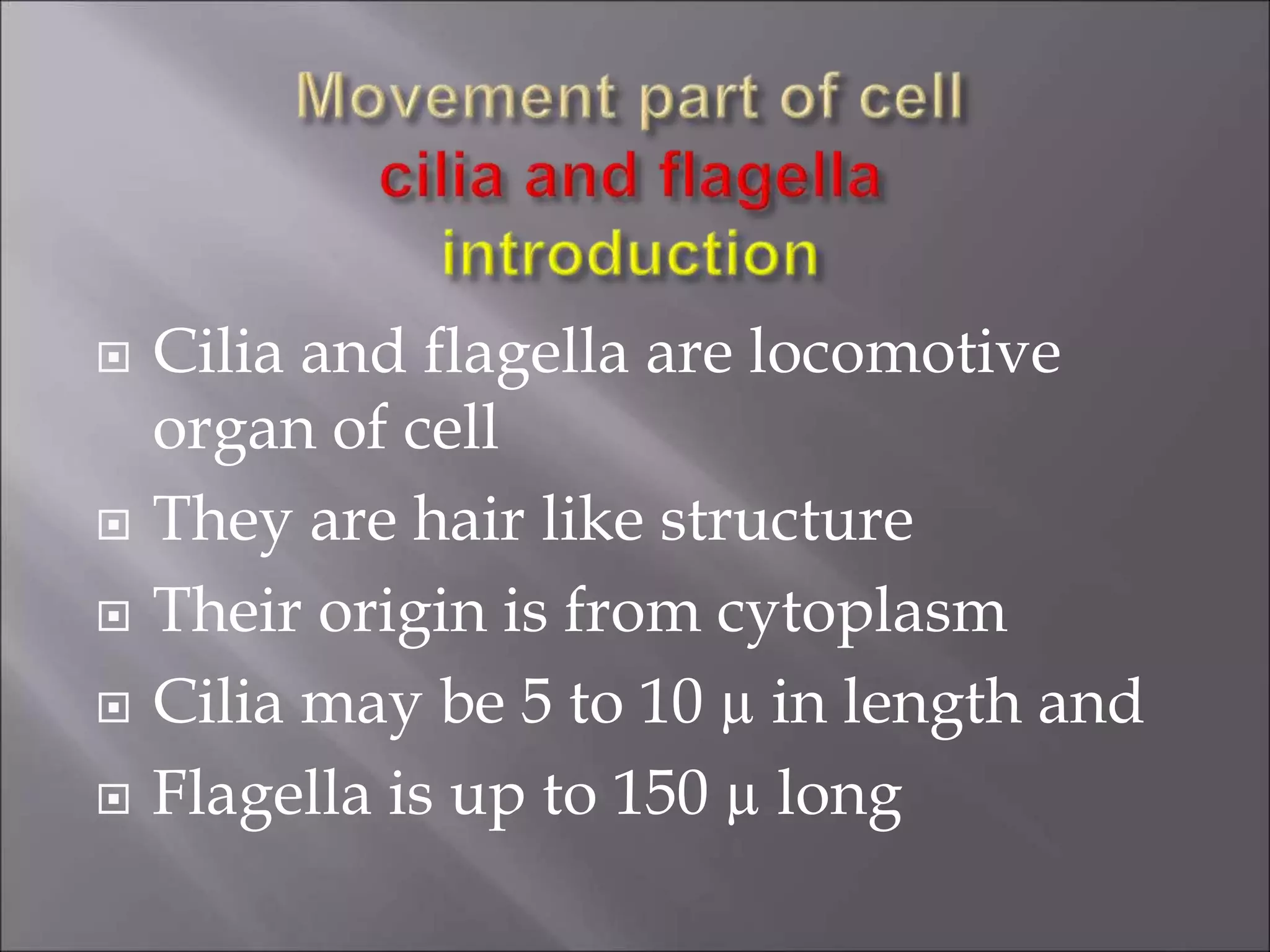 cell motility | PPT