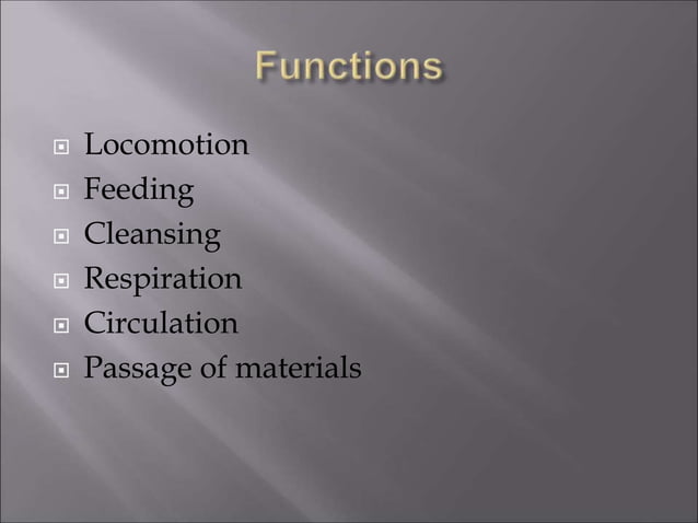 cell motility | PPT | Biological Sciences | Science