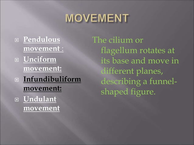 cell motility | PPT | Biological Sciences | Science