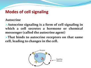 Signal transduction mechanism | PPTX