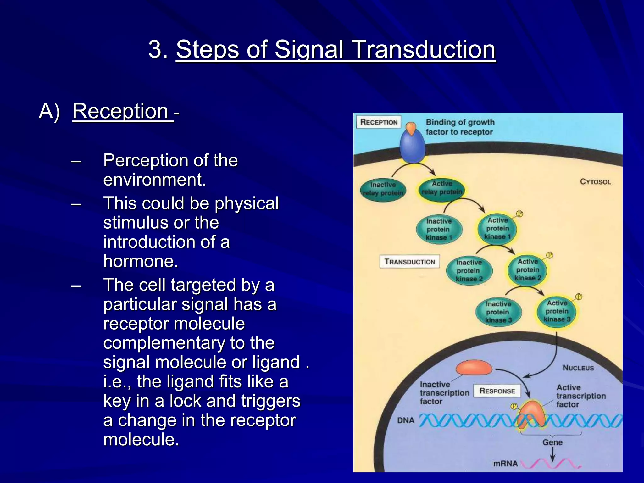 Signal transduction process | PPT | Biological Sciences | Science