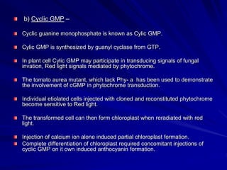 Signal transduction process | PPT