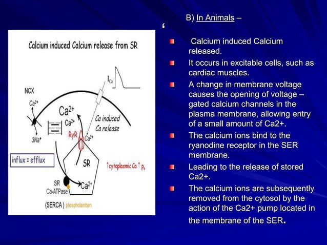 Signal transduction process | PPT | Biological Sciences | Science