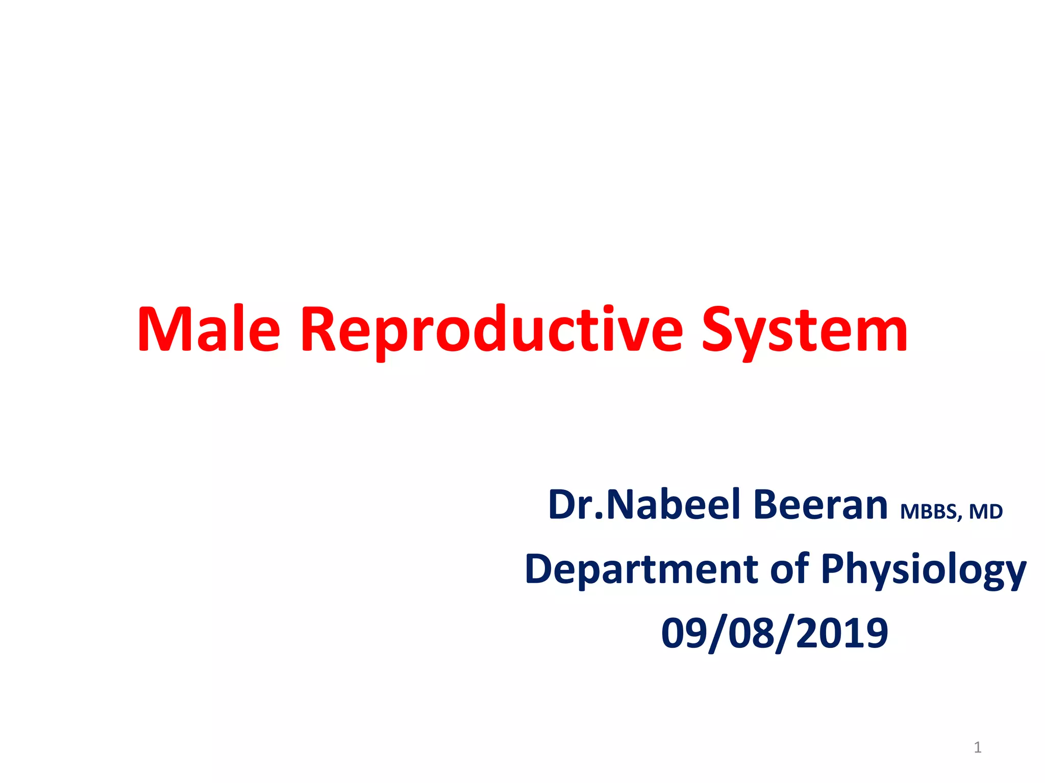 Male Reproductive System | PPT