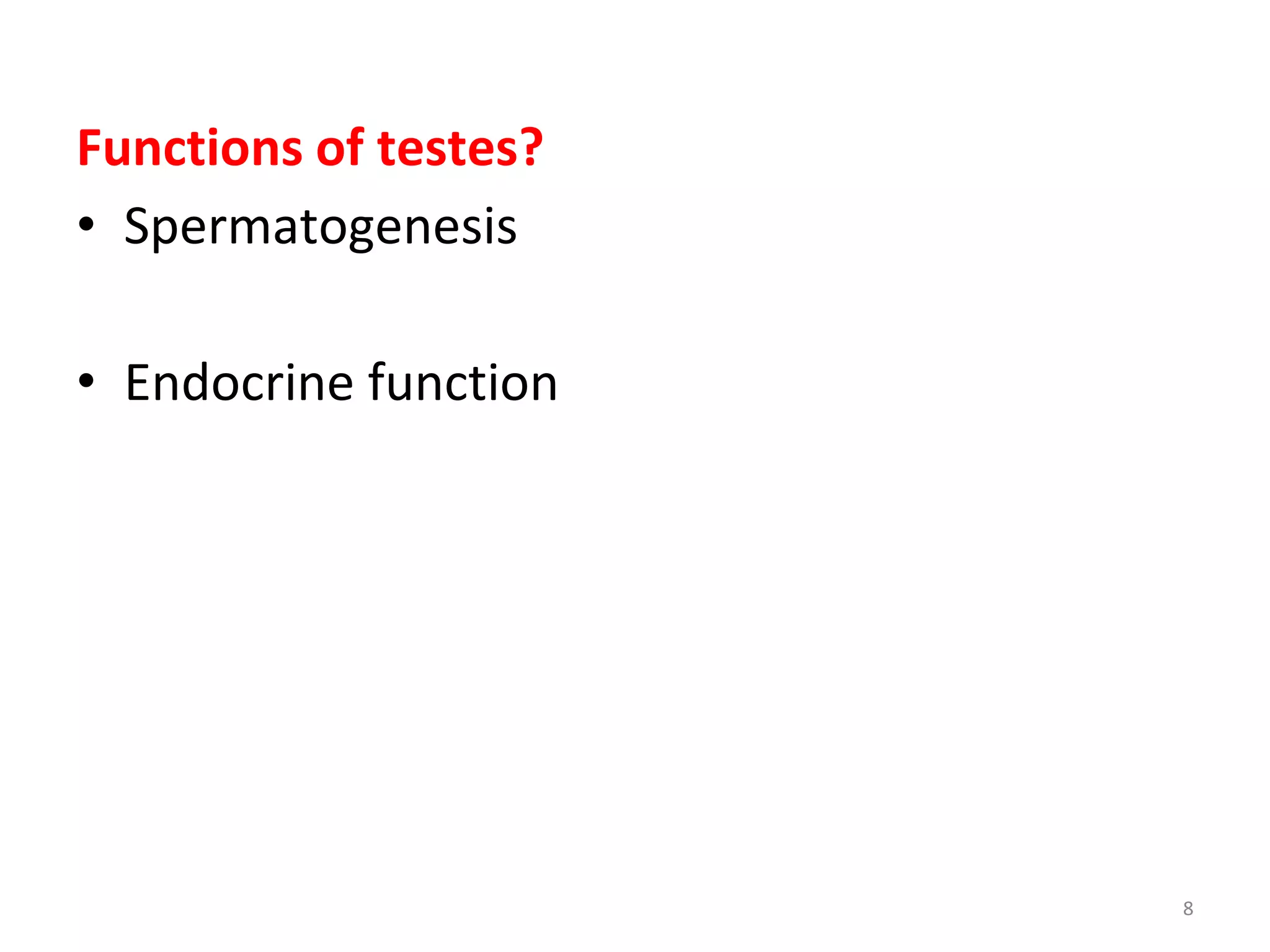 Male Reproductive System | PPT