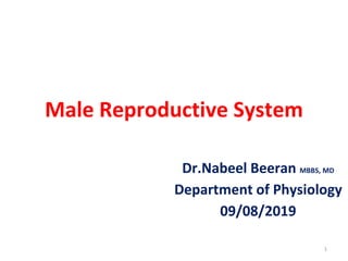 Male Reproductive System | PPT