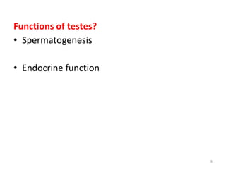 Male Reproductive System | PPT