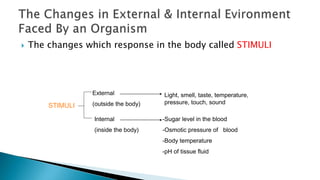 BIOLOGY FORM 5:3.1-COORDINATION AND RESPONSE | PPT