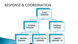 BIOLOGY FORM 5:3.1-COORDINATION AND RESPONSE | PPT