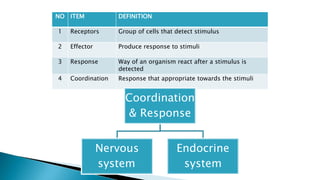 BIOLOGY FORM 5:3.1-COORDINATION AND RESPONSE | PPTX