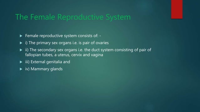 3. human reproduction female reproductive system | PPTX