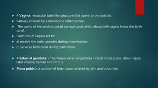 3. human reproduction female reproductive system | PPTX