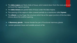 3. human reproduction female reproductive system | PPTX