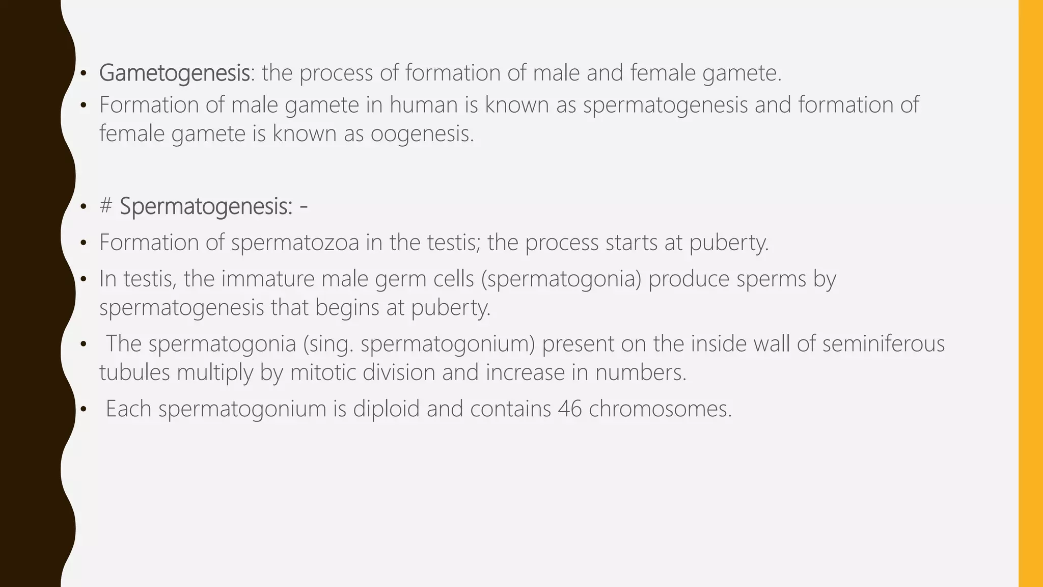 3. human reproduction gametogenesis and menstrual cycle | PPTX