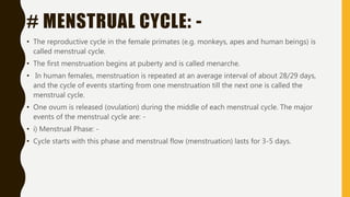 3. human reproduction gametogenesis and menstrual cycle | PPTX