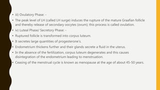 3. human reproduction gametogenesis and menstrual cycle | PPTX