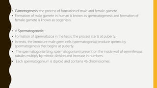 3. human reproduction gametogenesis and menstrual cycle | PPTX