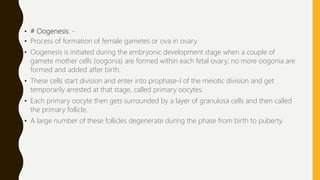 3. human reproduction gametogenesis and menstrual cycle | PPTX