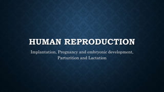 3. human reproduction implantation, pregnancy and embryonic development ...