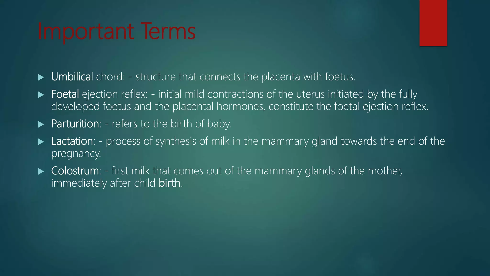 3. human reproduction male reproductive system | PPT