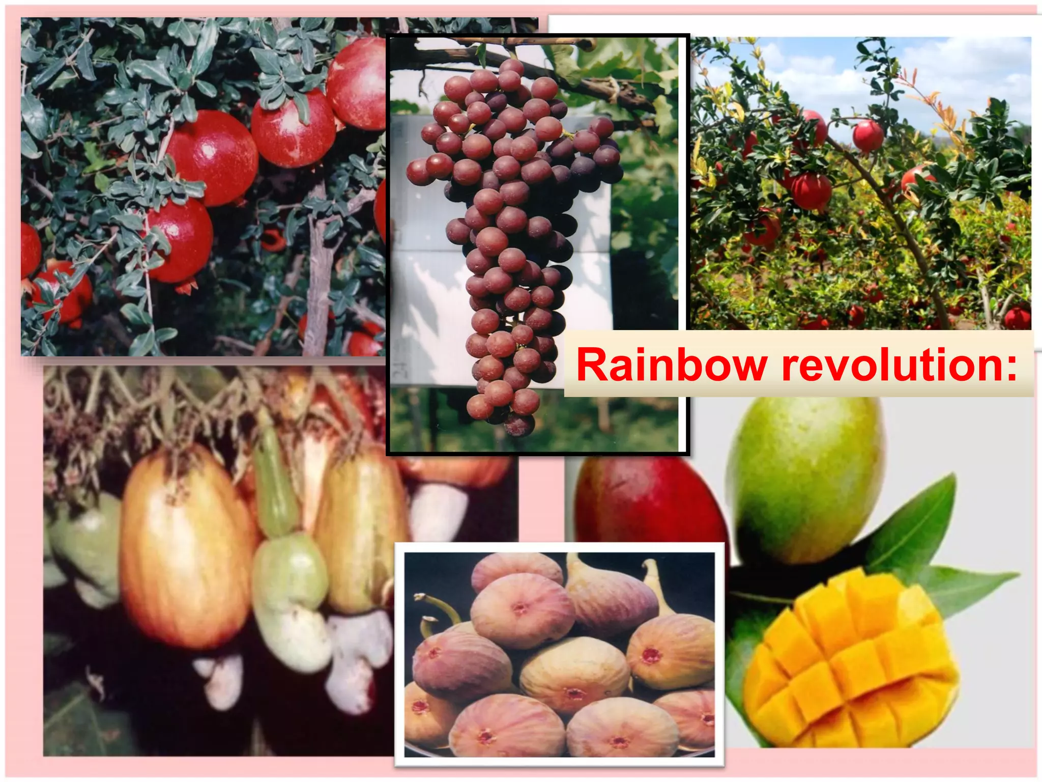 SCOPE OF AGRICULTURE IN INDIA AND MAHARASHTRA | PDF