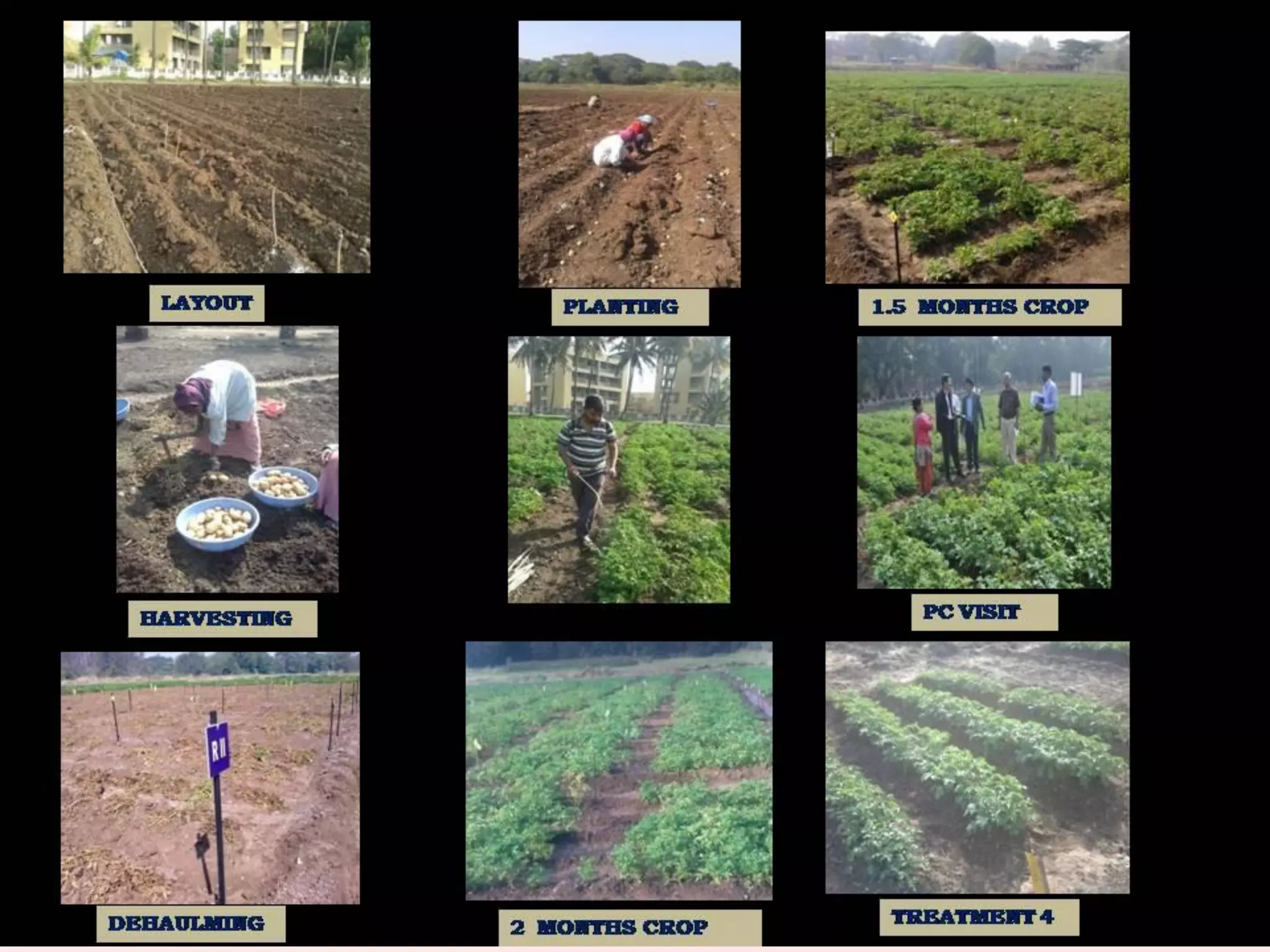 SCOPE OF AGRICULTURE IN INDIA AND MAHARASHTRA | PDF