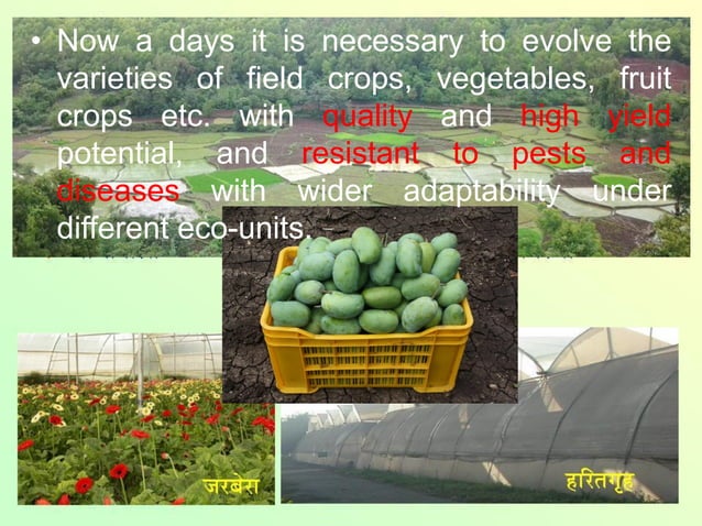 SCOPE OF AGRICULTURE IN INDIA AND MAHARASHTRA | PDF