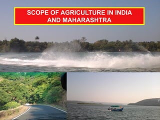 SCOPE OF AGRICULTURE IN INDIA AND MAHARASHTRA | PDF