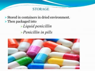 pencilin | PPT