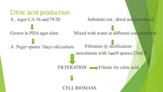 citric acid | PPTX