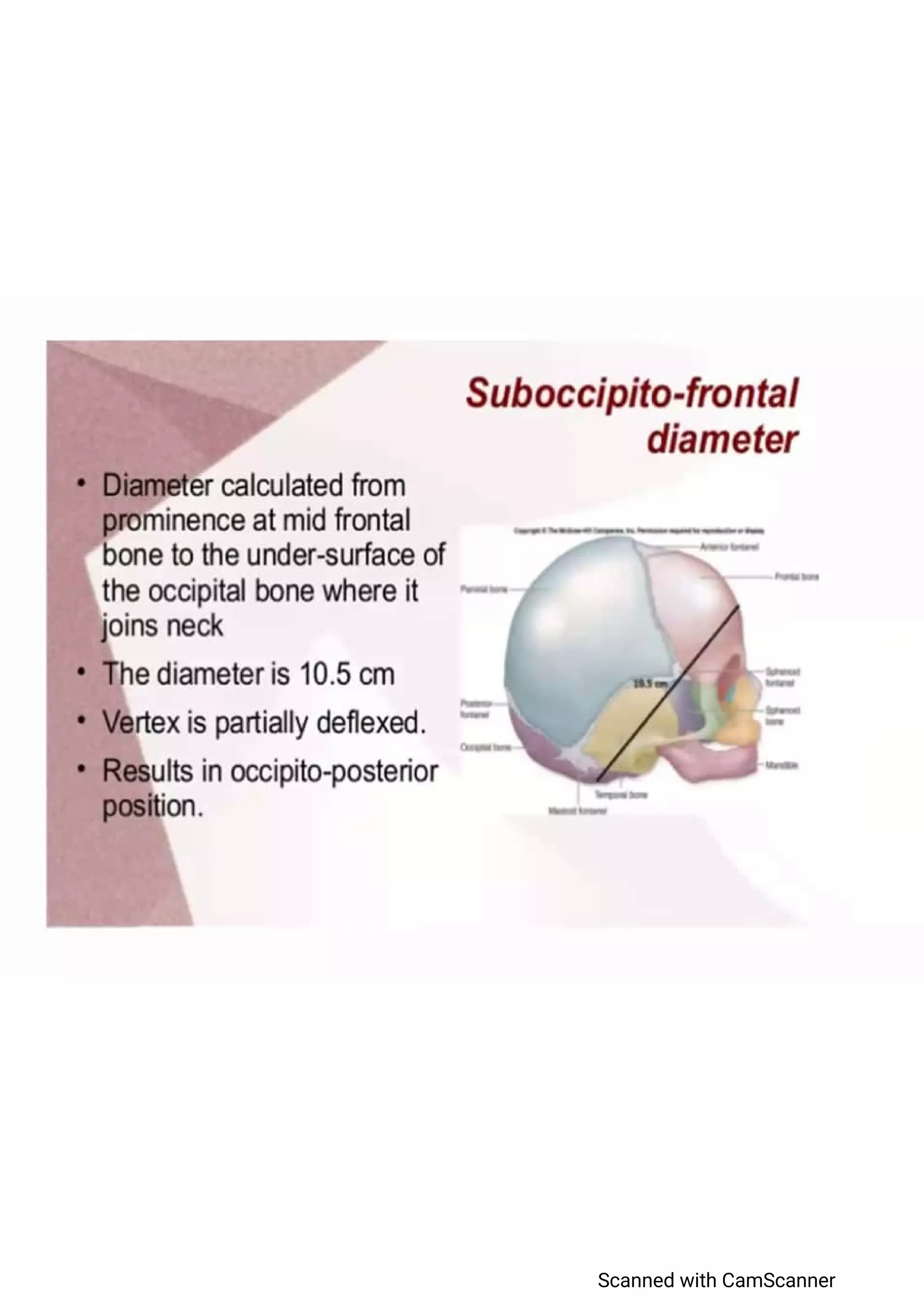 Anatomy Of Fetal Skull | PDF