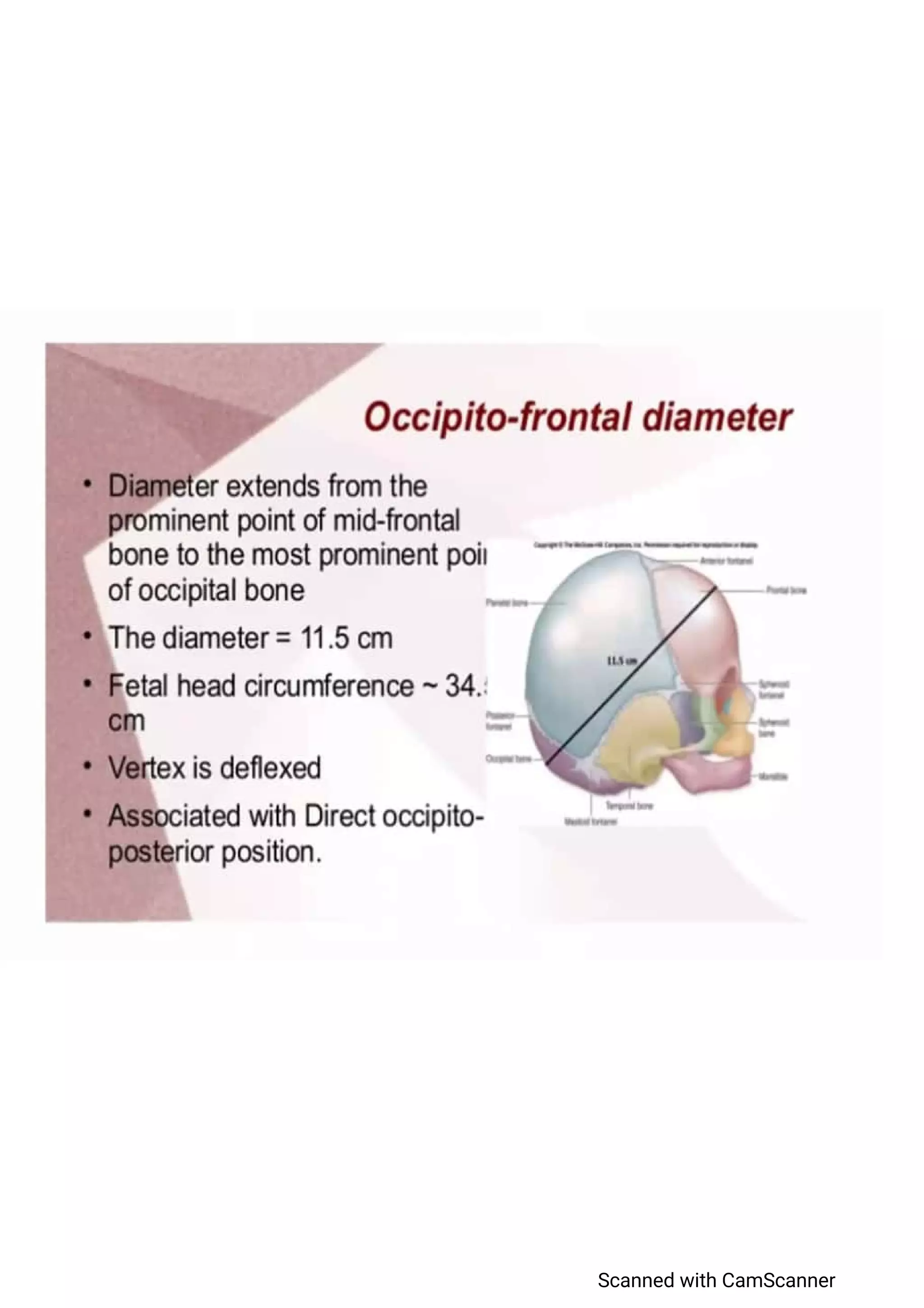 Anatomy Of Fetal Skull | PDF