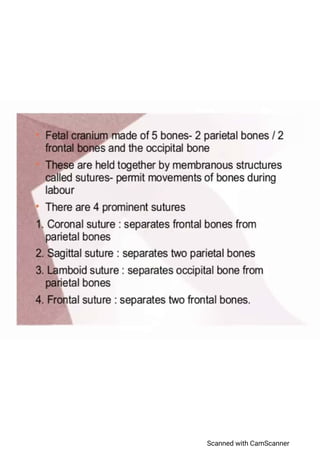 Anatomy Of Fetal Skull | PDF
