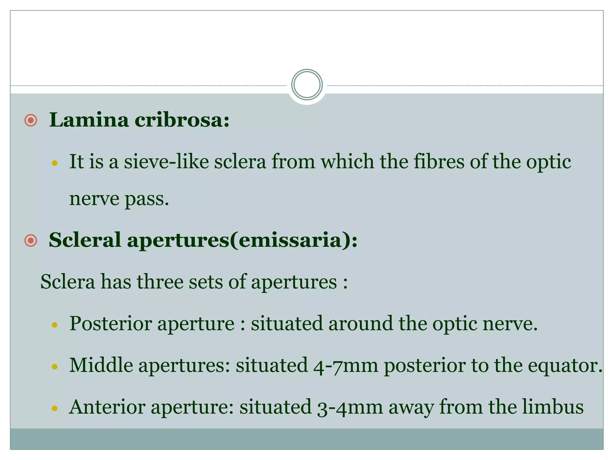 Anatomy of Sclera | PPTX
